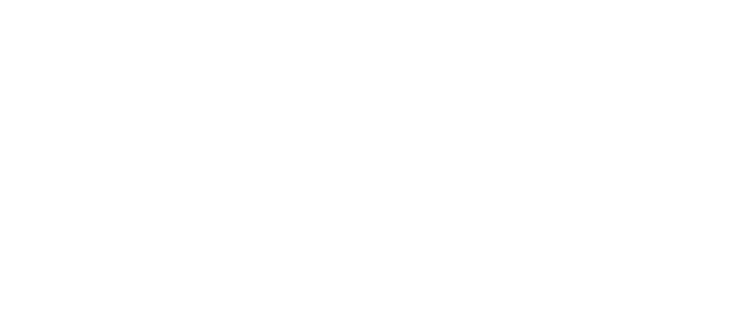 The Potting Shed – 101 O'Connell Street