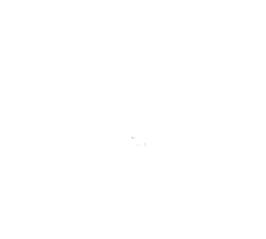 The Secret Garden – 101 O'Connell Street